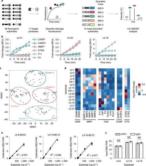 Mass Barcoded Peptide Sensors For Multiplexed Detection Of Protease Download Scientific Diagram