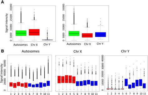 Changes In Infinium Probe Intensities Between Sex Chromosomes A Box Download Scientific