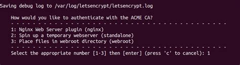 how to serve nginx subdomains or multiple domains