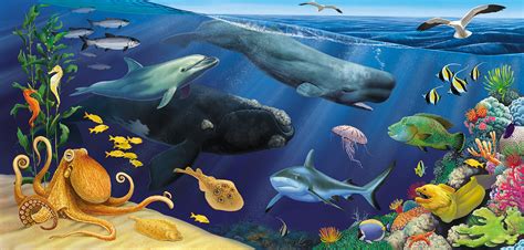 Обитатели Морей И Океанов Картинки Для Детей — Фото Картинки