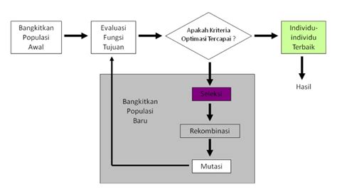 Antamedika Solution Algoritma Genetika