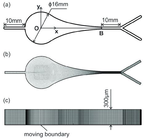 A Geometry And Dimension Of The Numerical Simulation Domain B