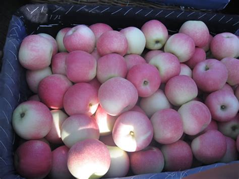 济宁恒望国际贸易有限公司