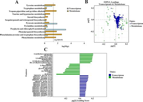 Correlation Analysis Between Metabolites And Transcripts A Histogram Download Scientific