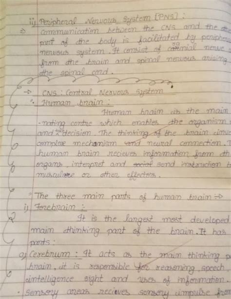 Ii Peripheral Nervous System Pns ⇒ Communication Between The Cns And