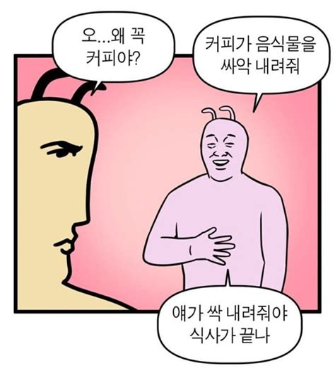 밥먹고 뭐 마시는 사람들 특징 인스티즈instiz 이슈 카테고리