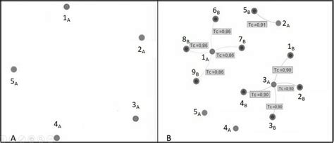 Neighbor Similarity Graph Nsg Of The Structural Relationship Of Set A Download Scientific