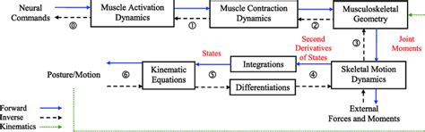 Dynamic Formulation Workflow Download Scientific Diagram