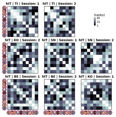 visualising rdms with the 92 images dataset — rsatoolbox 0 3 0