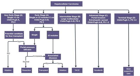 Role Of Transarterial Radioembolization In Management Of Hcc Intechopen