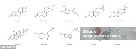 다른 호르몬 아이콘을 설정합니다 에스트라디올 프로게스테론 테스토스테론 아드레날린 Dhea 코티졸 도파민 세로토닌 멜라토닌 티록신 화학 분자 구조 물리적 구조에 대한 스톡