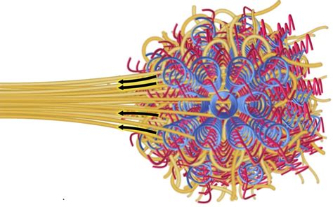 Molecular Weaving Makes Polymer Composites Stronger Without Compromising Function College Of
