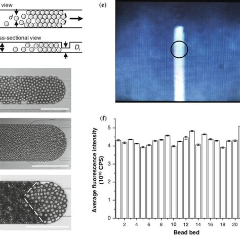Bead Packing Within The Microfluidic Cartridge A Schematic Download Scientific Diagram