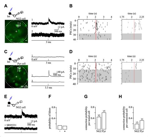 Spatial Selectivity Of Holographic Photostimulation To Detect Unitary Download Scientific