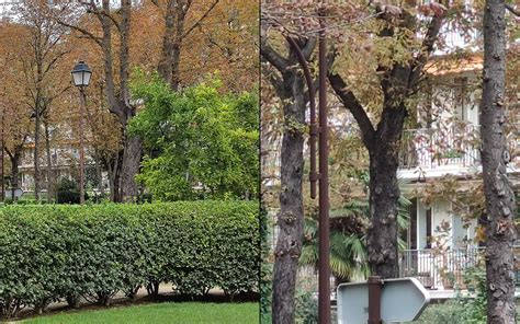 Test Xiaomi Mi 10T Pro 5G notre avis complet sur le smartphone à moins de 600 euros