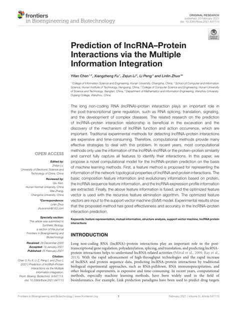 Pdf Prediction Of Lncrnaprotein Interactions Via The Multiple Information Integration
