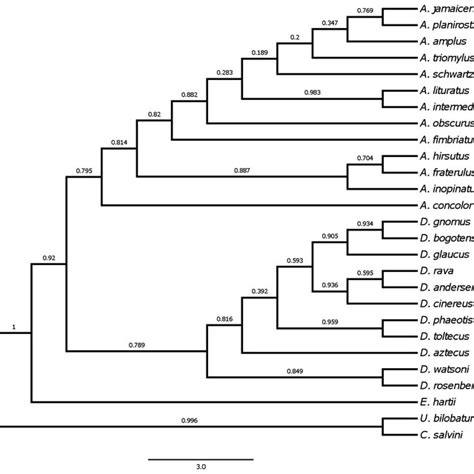 Bayesian 100 Majority Consensus Tree Based On The Partitioned