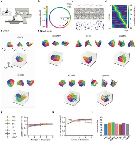 Mouse Hippocampalca1 Manifolds During Spatial Memory Retrieval Unless