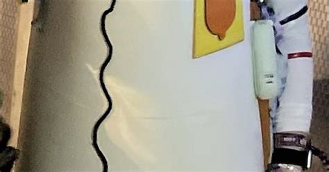 Sandy Cheeks Costume Album On Imgur