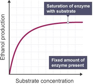 Enzyme Substrate Graph