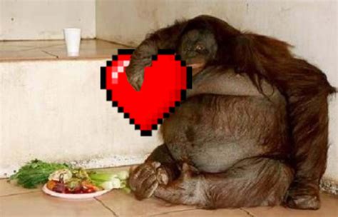 Create A Kuba Album Tierlist Tier List Tiermaker