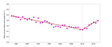 The Wind Grows Stronger Tasmanian Life