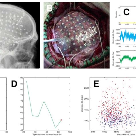 Two Class Classification Performance Across Subjects Download