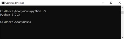 Python