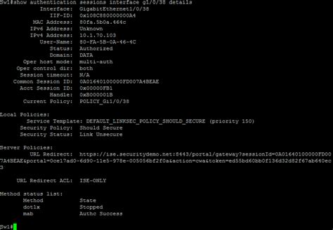 Ise Guest Policy Networking Fun