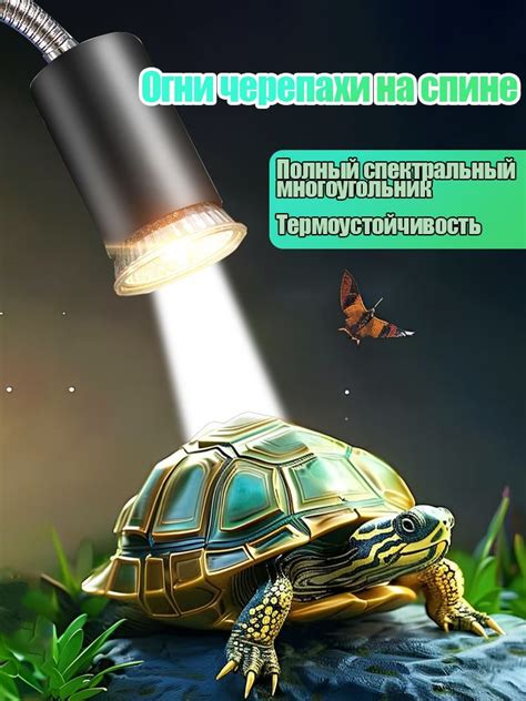 Светильник для террариума с поворотным плафоном лампочка греющая Uvb 3 в подарок для ящериц