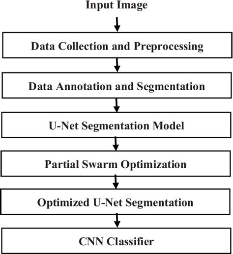 figure 1 from particle swarm optimization algorithm based u net model