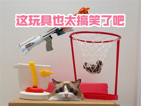 这玩具也太搞笑了吧！ 旺仔是三七分 旺仔是三七分 哔哩哔哩视频