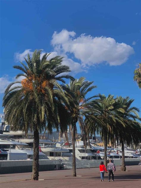 스페인 워홀 5개월차가 알려주는 워홀의 모든 것 네이버 블로그