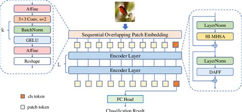 Figure 1 From Bridging The Gap Between Vision Transformers And