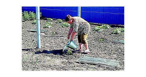 През този месец още да планирате как ще поливате Български Фермер