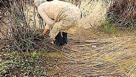 Desi Jamai And Young Sasuri Hot Taboo Sex Xhamster