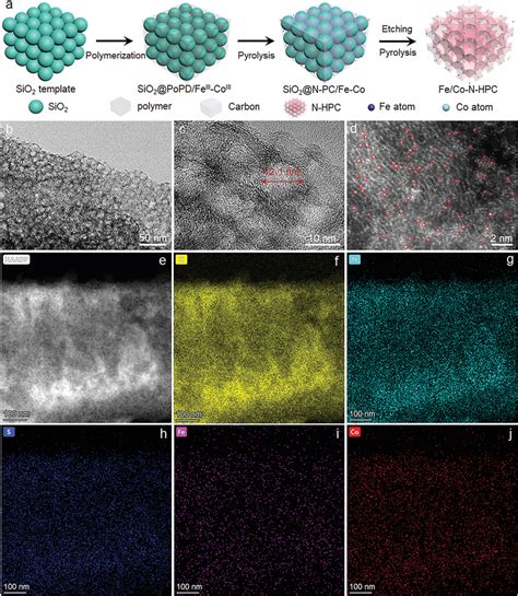 Synthesis Morphology And Composition Of Fe Co‐n‐hpc A Schematic Download Scientific Diagram