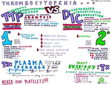 Emcrit Podcast 224 Ttp And Dic With Tom Deloughery Part Ii Treatment