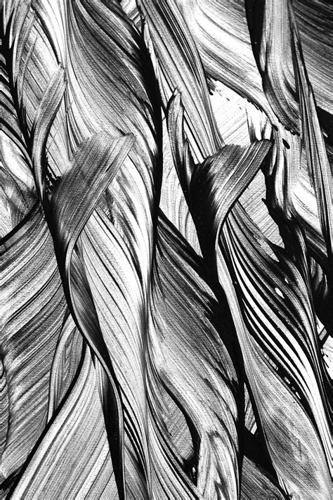 구 아라 투바 다이나믹한 대담한 스트로크 미술 미술 구성 미적 디자인 붓놀림 브라질 블랙 앤 화이트 선 시각 예술 시각적 질감 시각적 흥미 아트워크