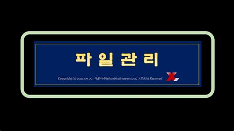 Vba 파일관리파일 개별 및 일괄 오픈 Youtube
