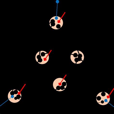 an example of random tensor network download scientific diagram