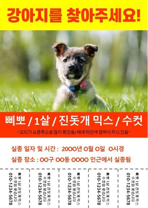 반려동물 실종 전단지 강아지 고양이 연락처 절취선 비즈폼 샘플 양식 다운로드