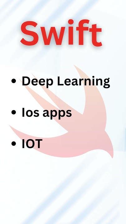 Programing Languages And Their Uses Laraveldeveloper Techsavvy Excel Coding Youtube