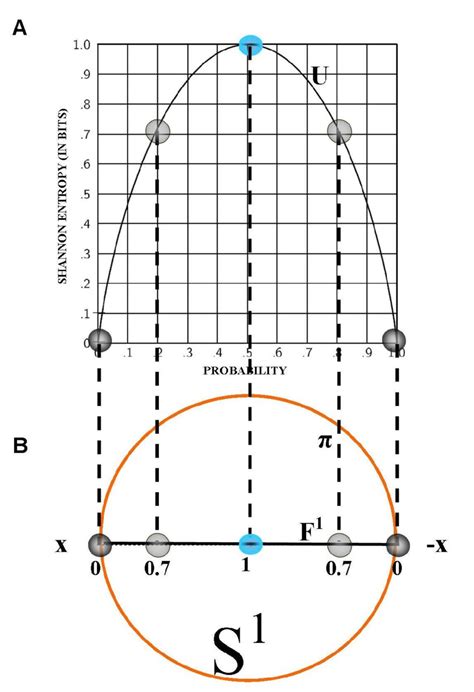 A Shannon Entropy For Probability Distribution 1− Under Ergodic