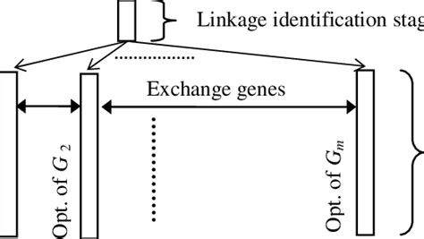 Optimization By Real Coded Ga With Linc R Download Scientific Diagram