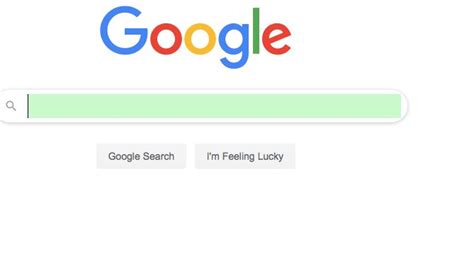 How To Disable Search Bar Being Filled In With Green Sensorally