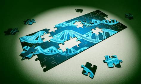 How Our Gxe Gene Environment Interaction Makes Us Who We Are Brain World