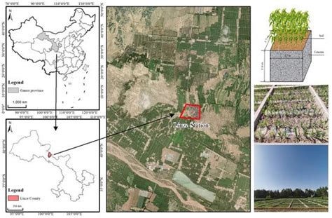 Effect Of Attapulgite Application On Aggregate Formation And Carbon And Nitrogen Content In
