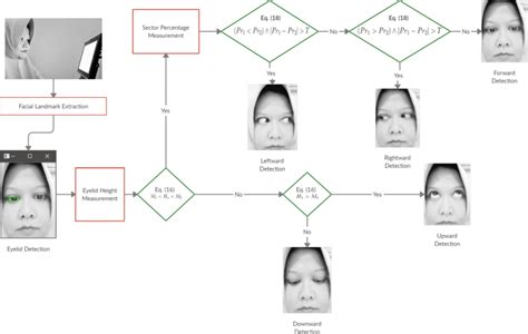 The Simplified Mapping Schema For Eye Movement Detection Download Scientific Diagram