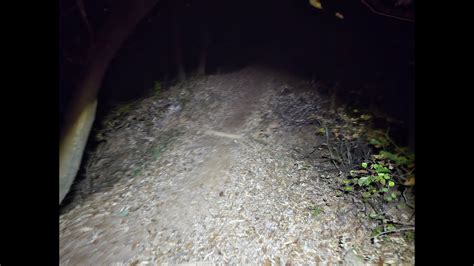 근무태만 기강확립 직무유기 Youtube